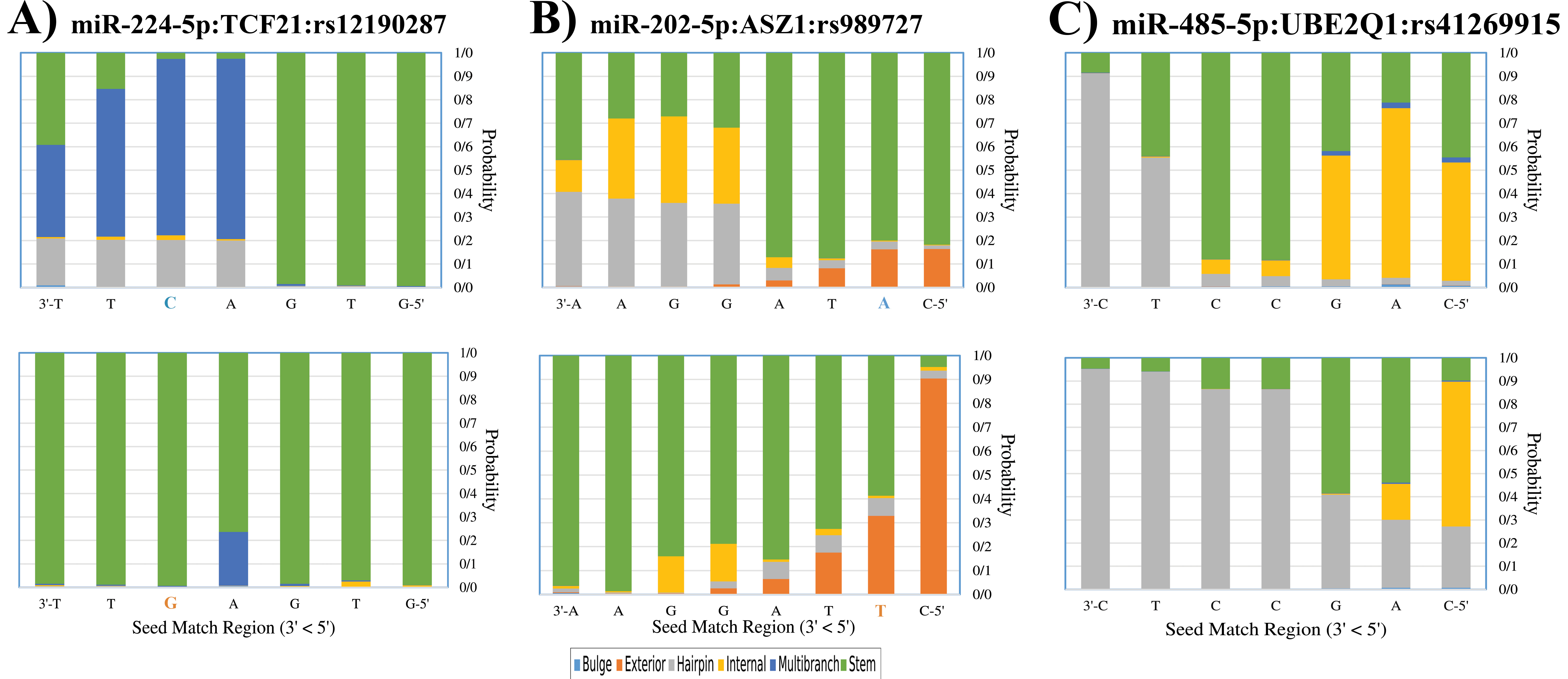 Milad-Bastami.github.io | My Research Portfolio on GitHub